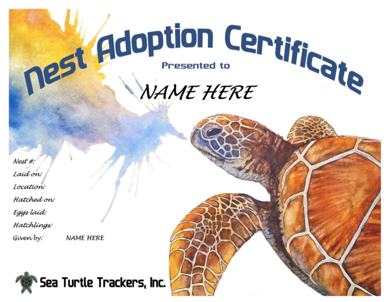 Adopt - Sea Turtle Trackers