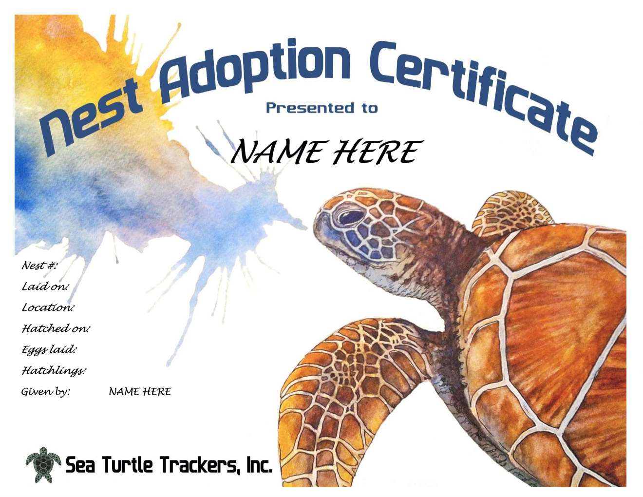 Adopt - Sea Turtle Trackers