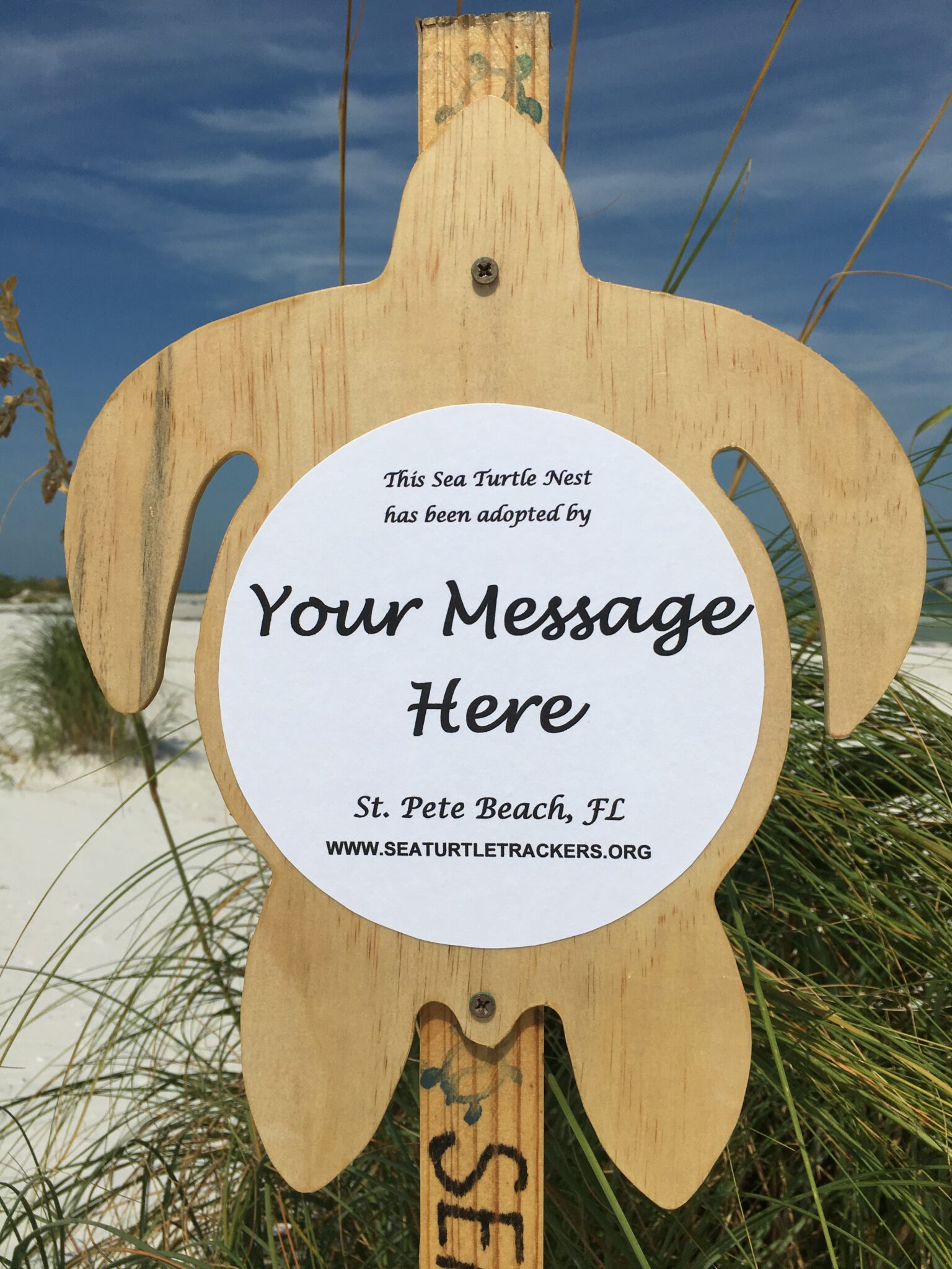 Adopt - Sea Turtle Trackers