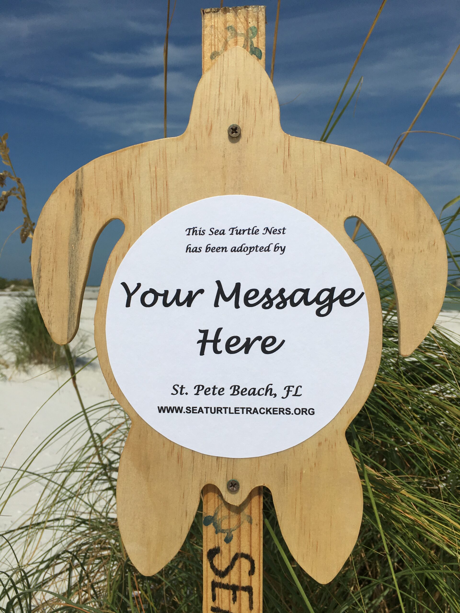 Adopt - Sea Turtle Trackers