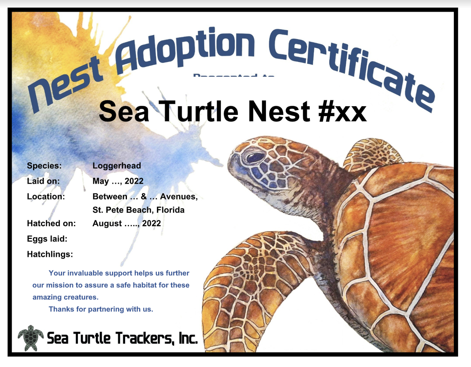 Adopt - Sea Turtle Trackers