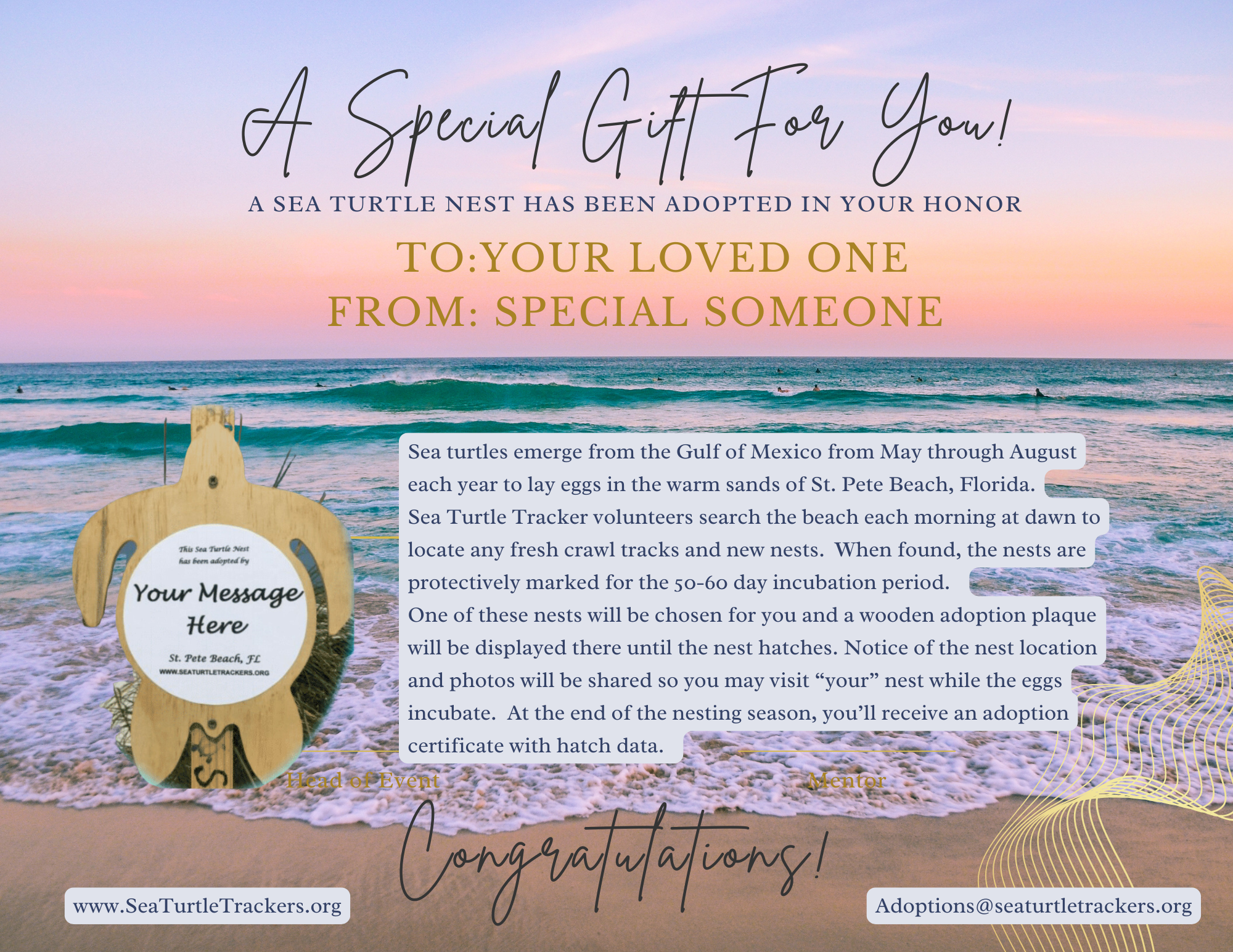 Adopt - Sea Turtle Trackers